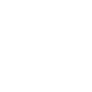 Abacus – Service Corporation